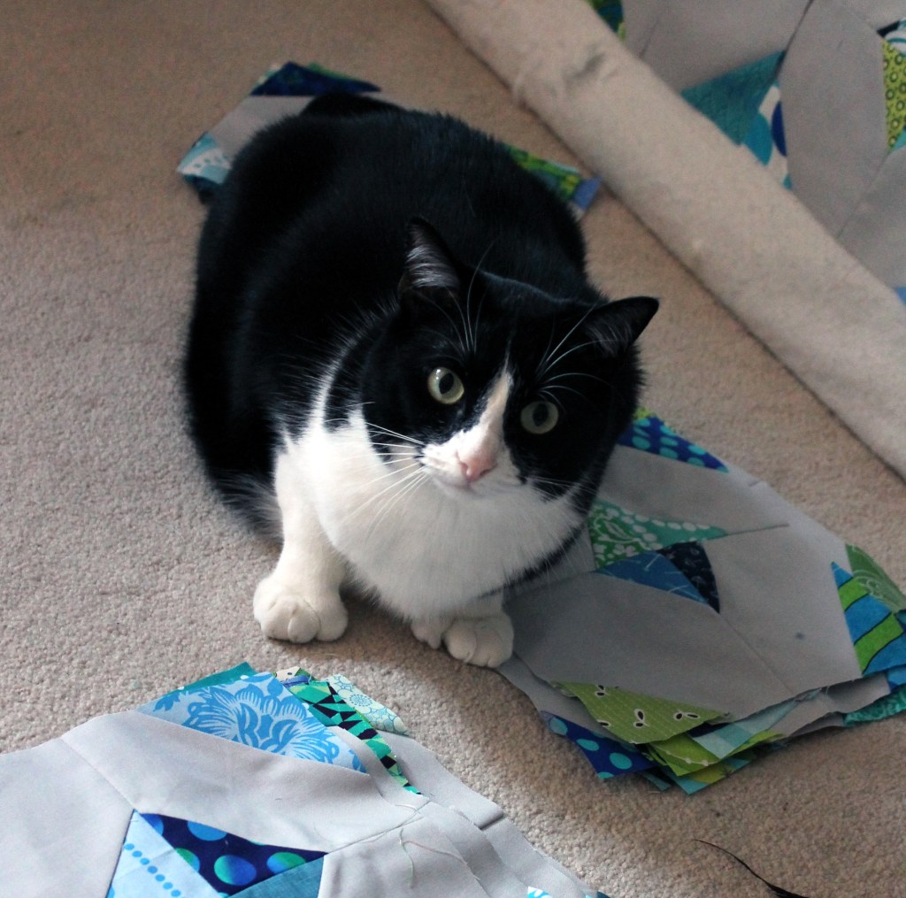 Wonky Kites Quilt | WOMBAT QUILTS